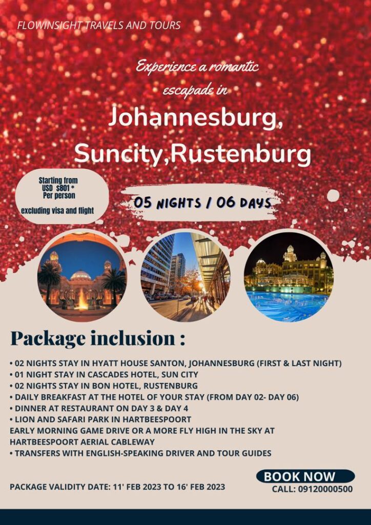 Flow Insight Travels